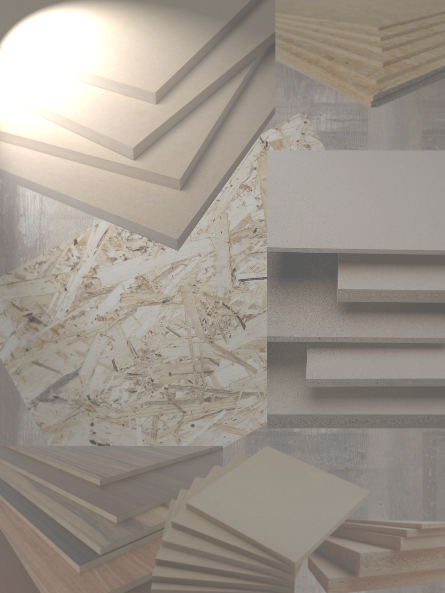 Axis srl - Impianti truciolare, MDF, OSB - AXIS - Suppliers for Wood ...