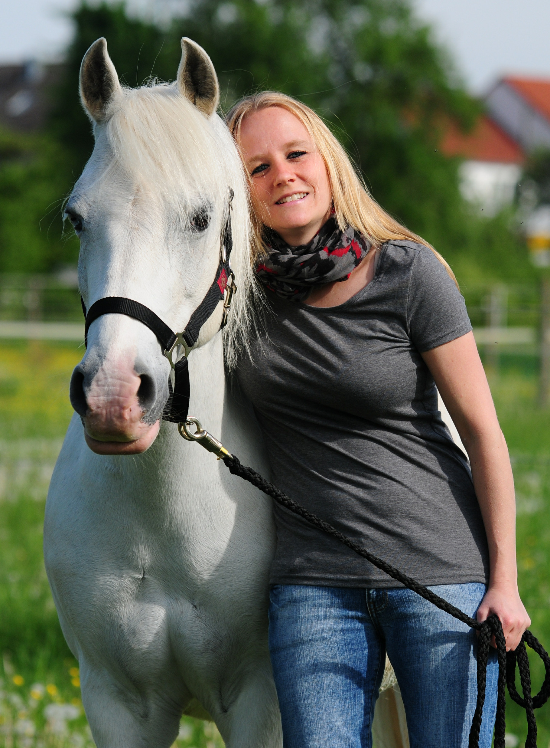 Dorntherapie für Pferd und Reiter - Naturheilpraxis Enha