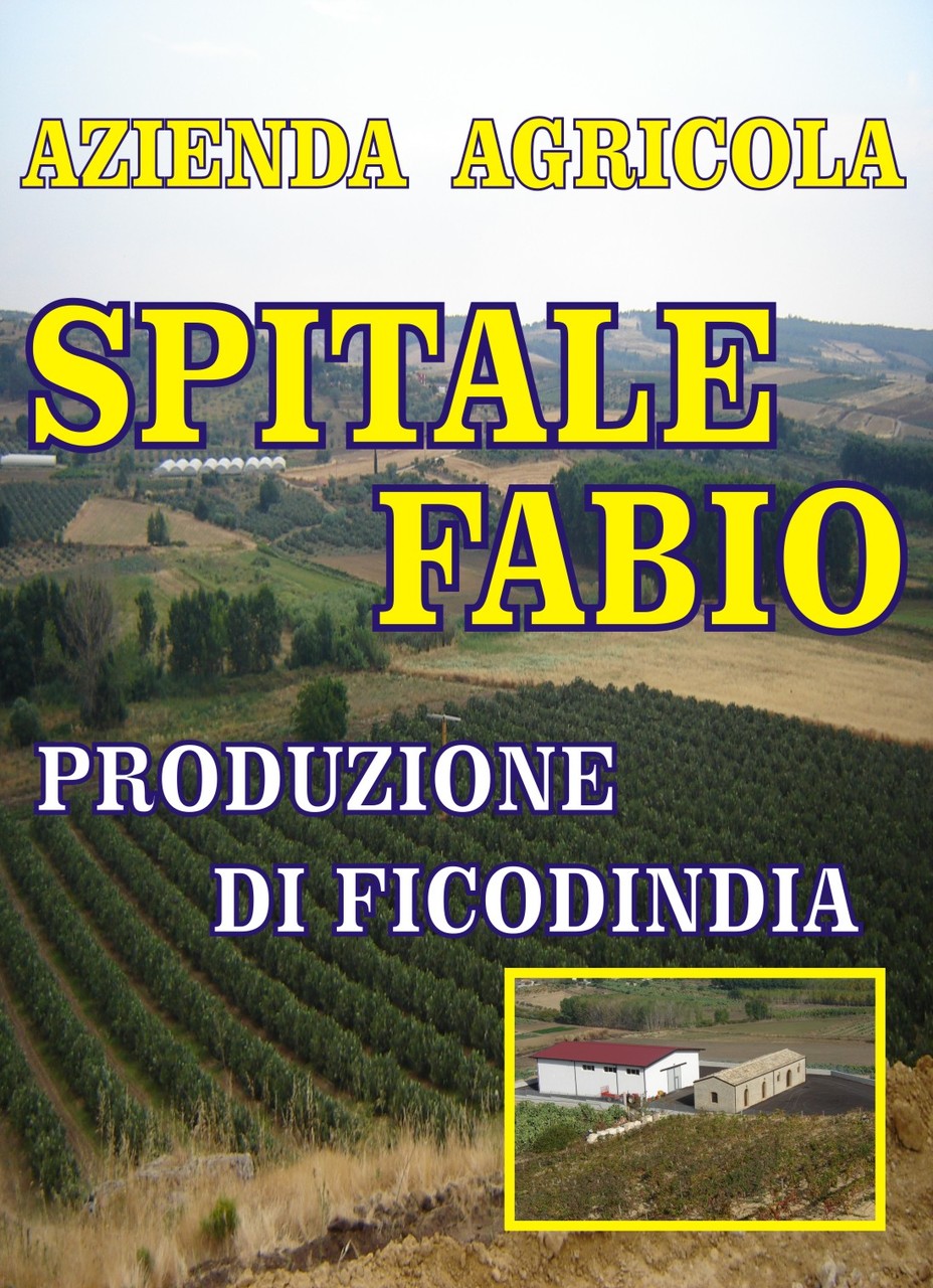 A.S.D. SANCONITANA - SAN CONO (CT)