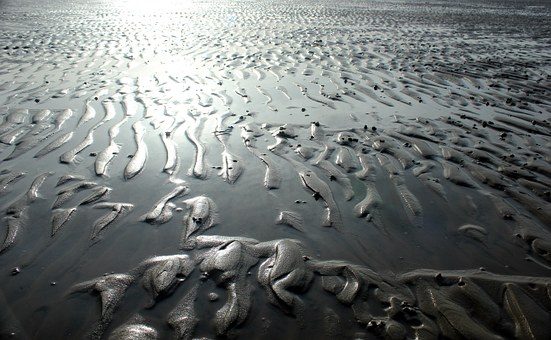 Weltnaturerbe Wattenmeer - ein einmaliges Erlebnis ...