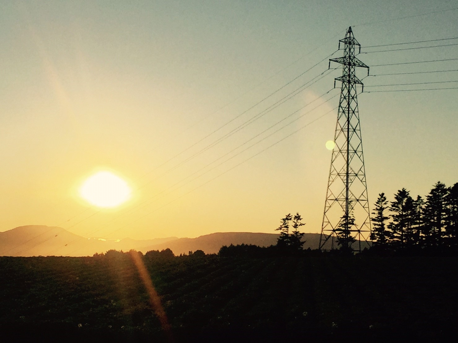 Shinonome Web Site - Shinonome Web Site