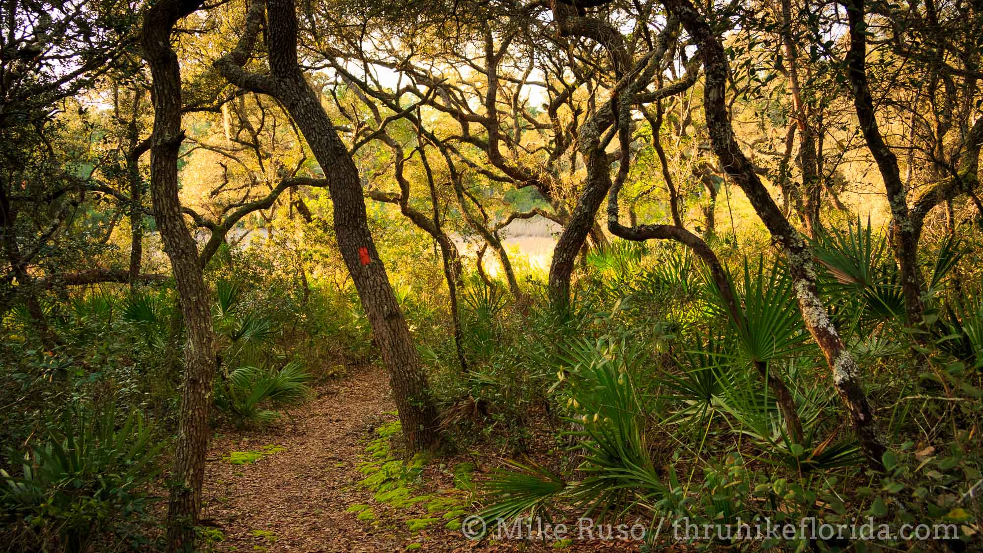 Emergencies - Thru-Hike The Florida Trail