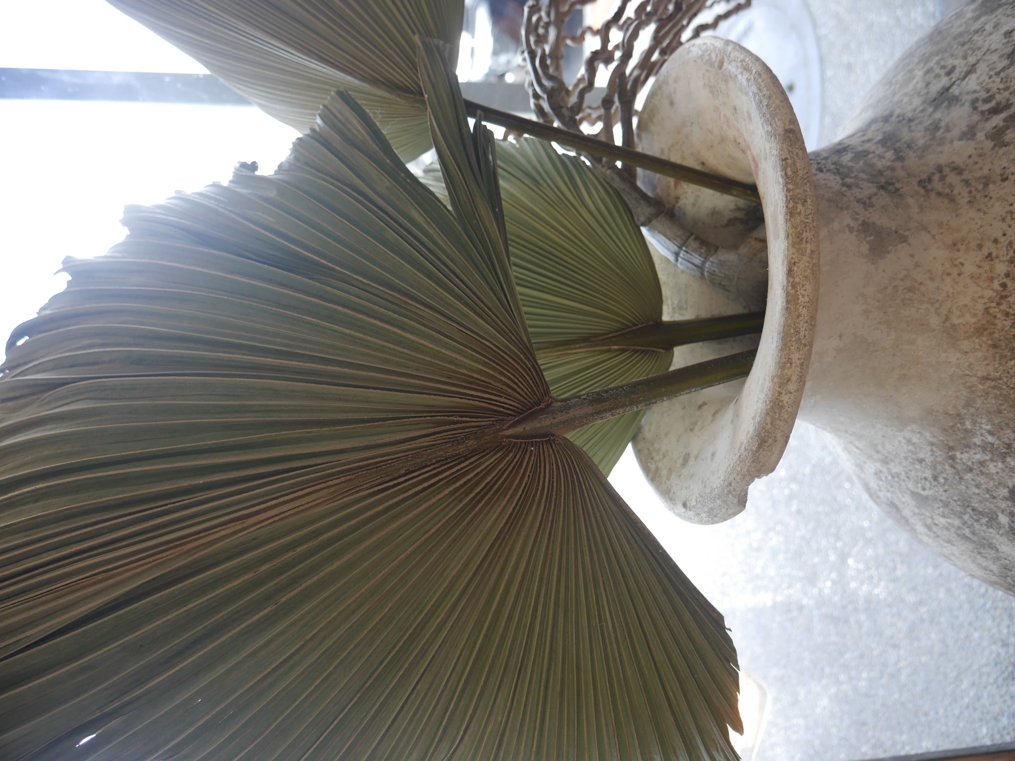 About me - ra-moon ページ！