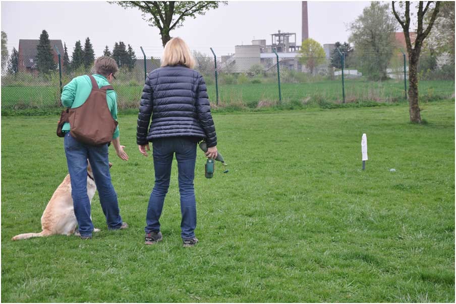 Apportieren 2019 - Pfoten in Aktion