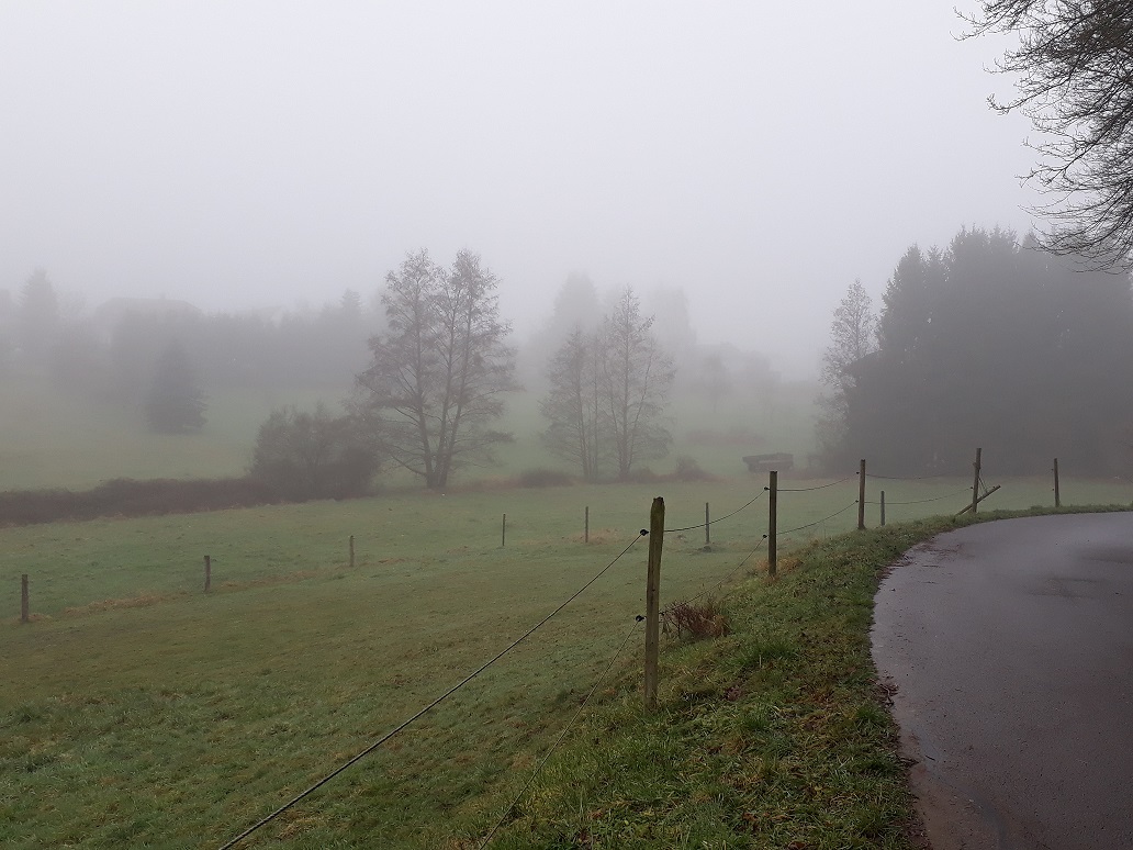 Reuschbacher Höhe - radtouren-westpfalzs Webseite!