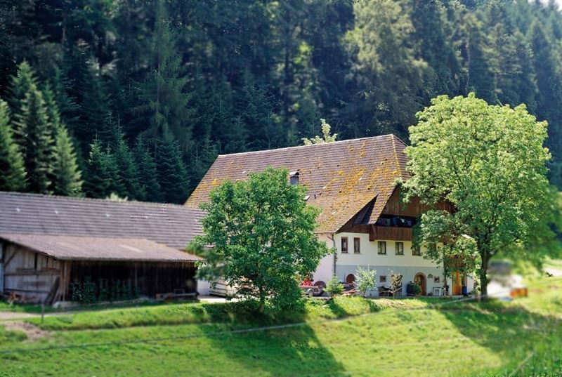 Weitere Höfe - Brennerei Vitt Schwarzwald