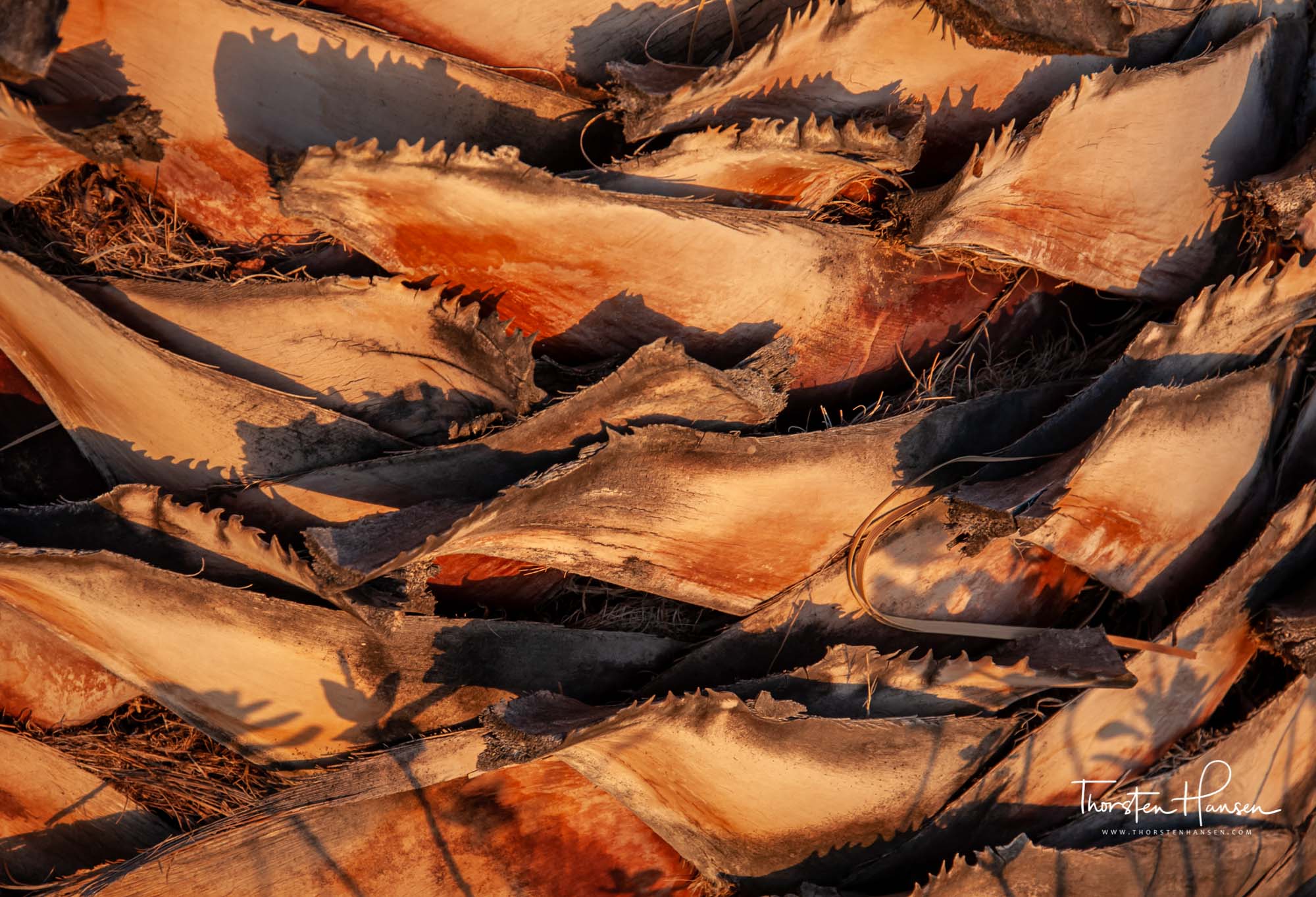 Erleben Sie mit dem Reiseleiter Thorsten Hansen die Region Hardap in ...