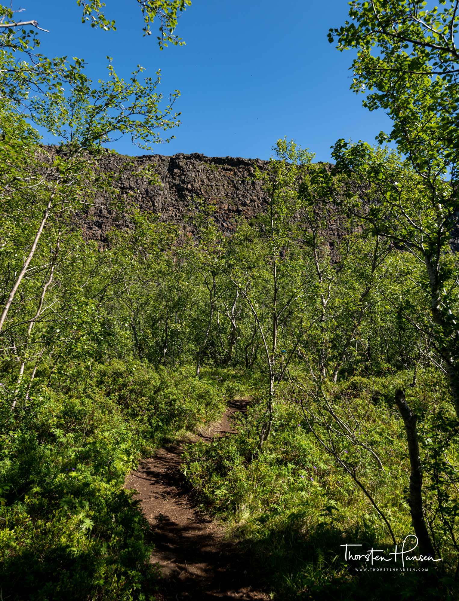 Erleben Sie mit dem Reiseleiter Thorsten Hansen das nördliche Island ...