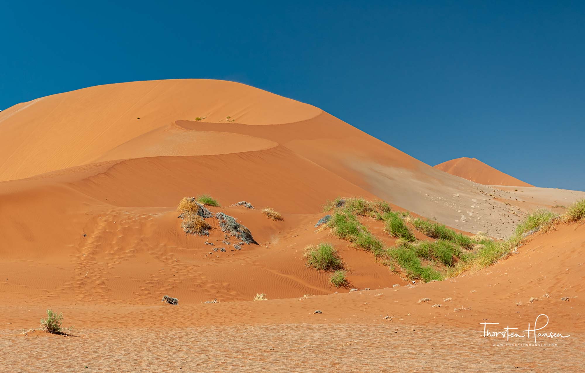 Erleben Sie mit dem Reiseleiter Thorsten Hansen die Region Hardap in ...