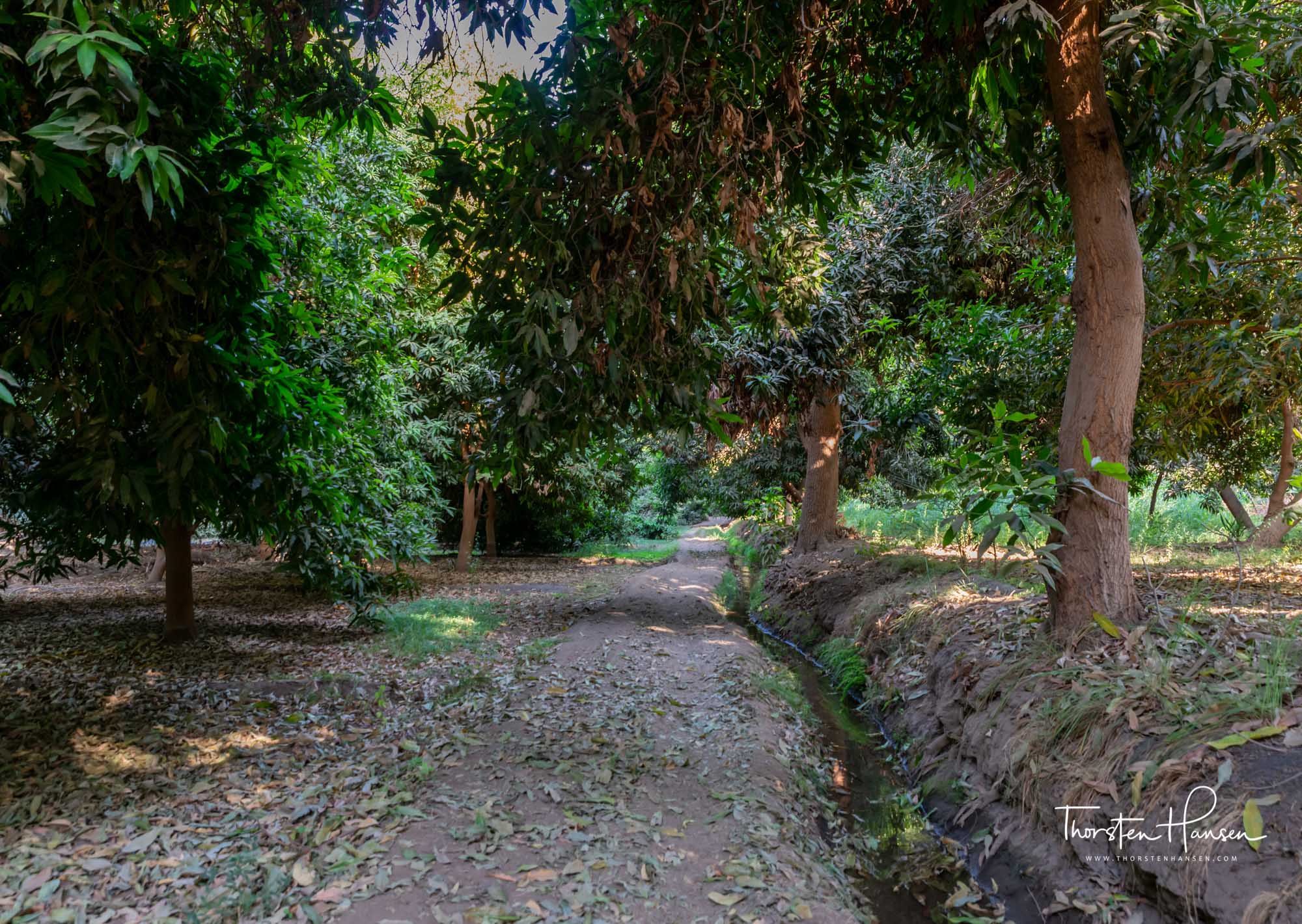 Erleben Sie mit dem Reiseleiter Thorsten Hansen ein luxuriöse ...