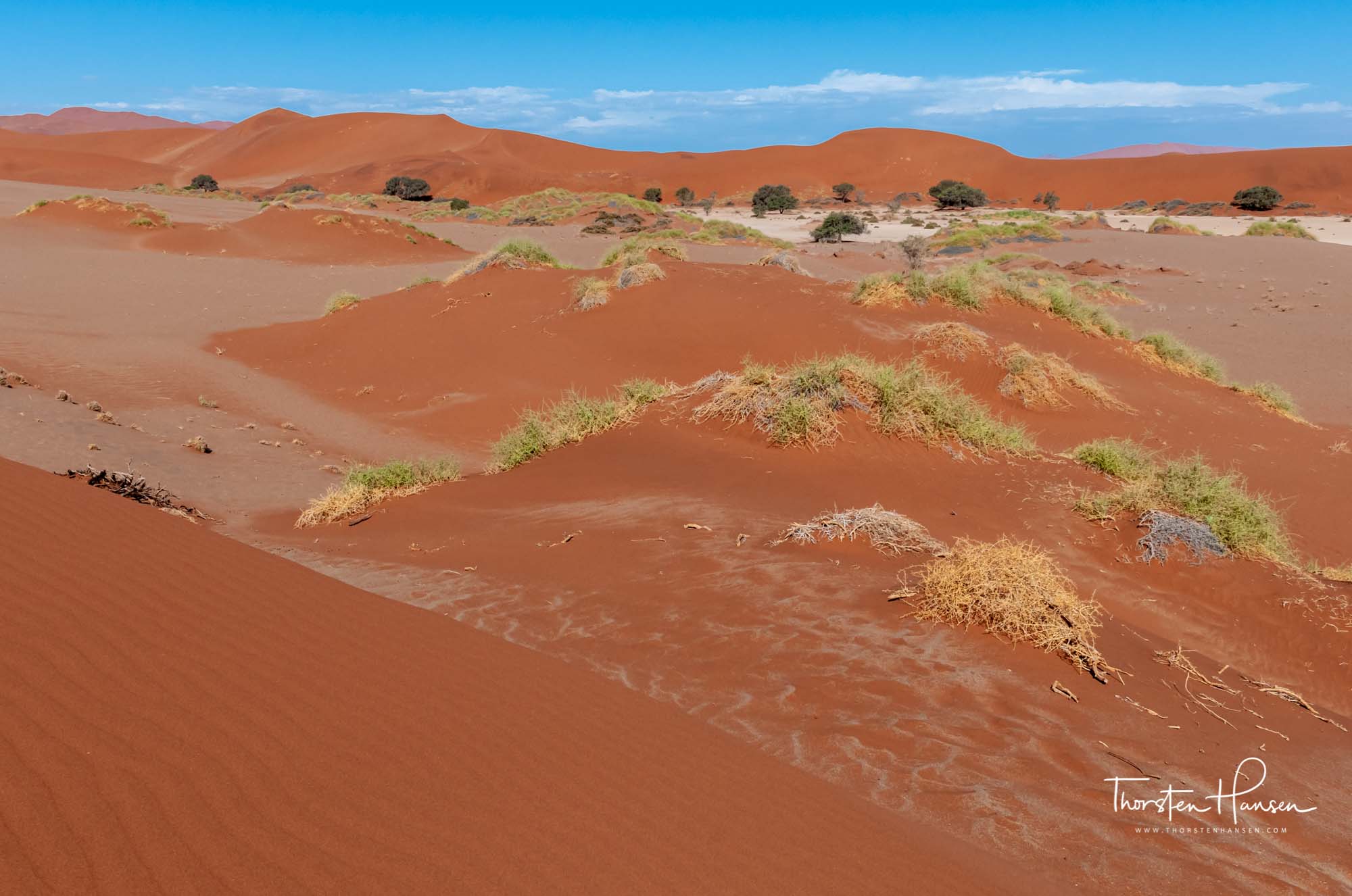 Erleben Sie mit dem Reiseleiter Thorsten Hansen die Region Hardap in ...
