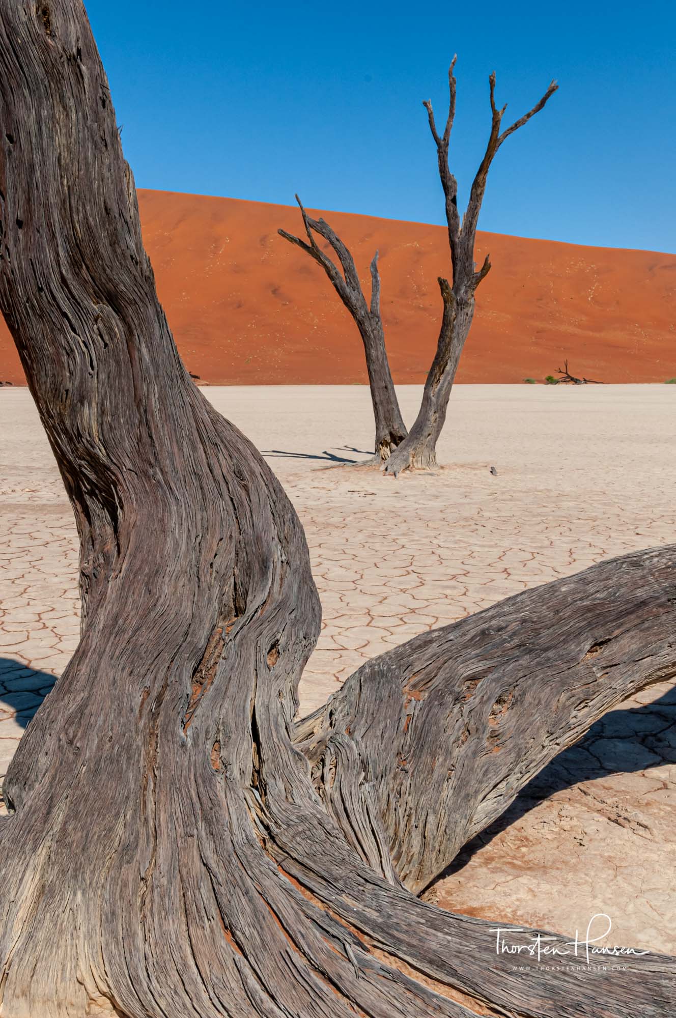 Erleben Sie mit dem Reiseleiter Thorsten Hansen die Region Hardap in ...