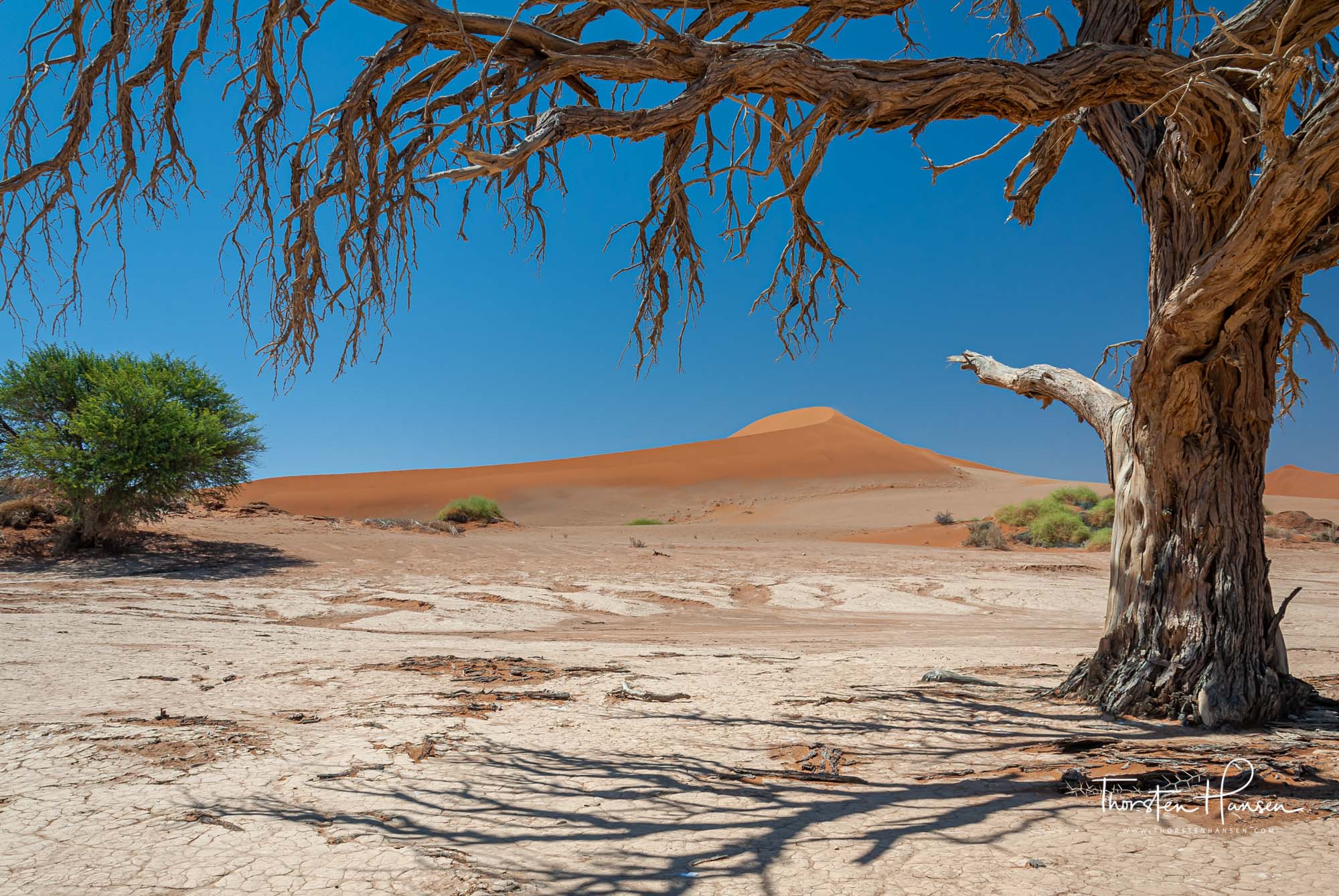 Erleben Sie mit dem Reiseleiter Thorsten Hansen die Region Hardap in ...