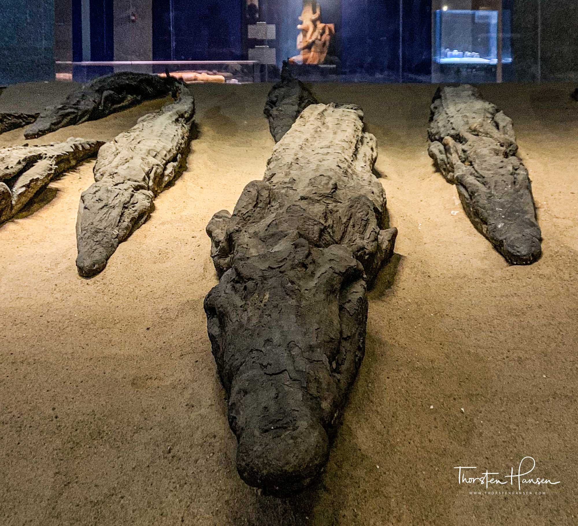 Erleben Sie mit dem Reiseleiter Thorsten Hansen ein luxuriöse ...