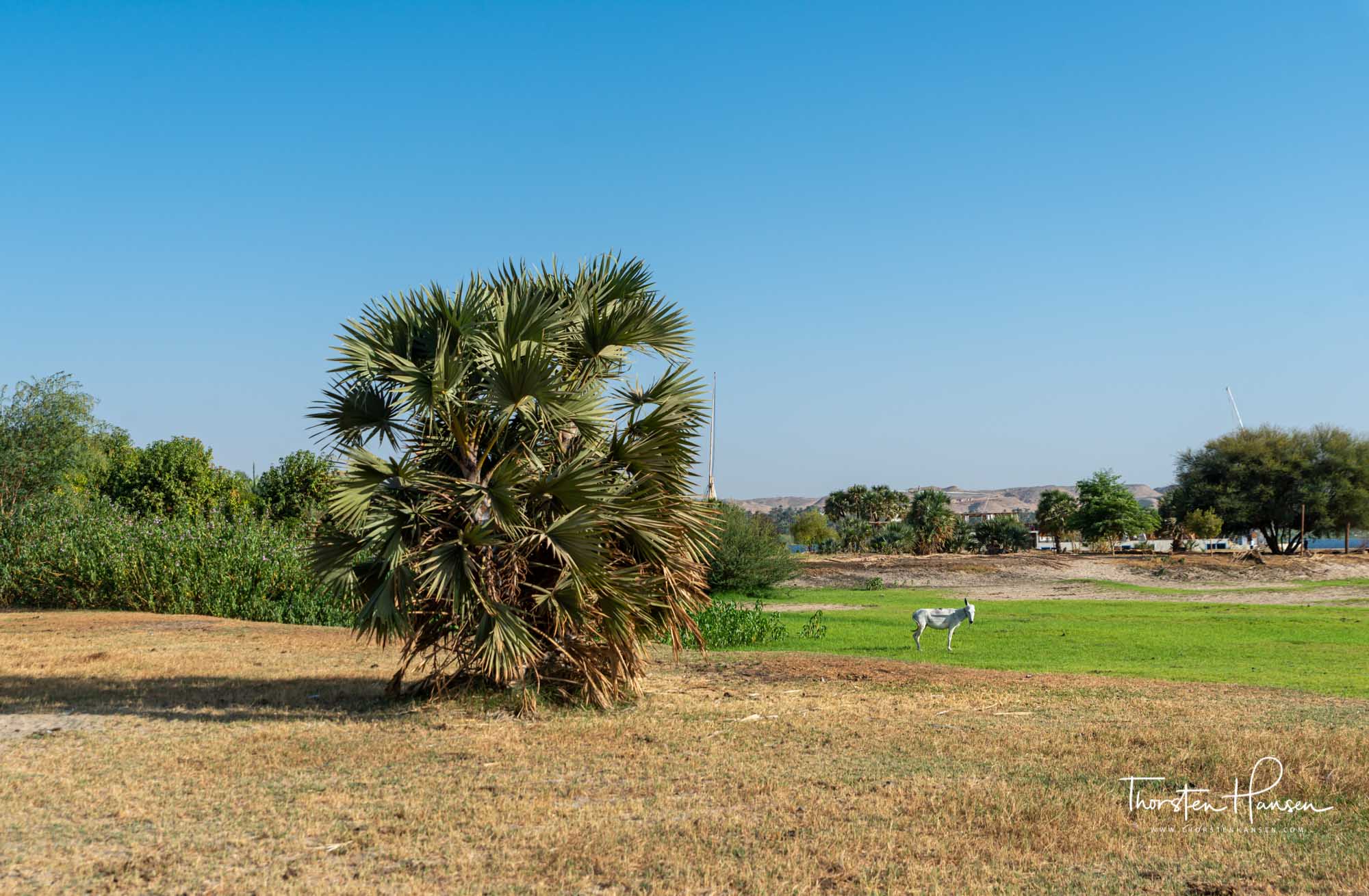 Luxuriöse Nil Kreuzfahrt mit THorsten Hansen - Reiseveranstalter ...