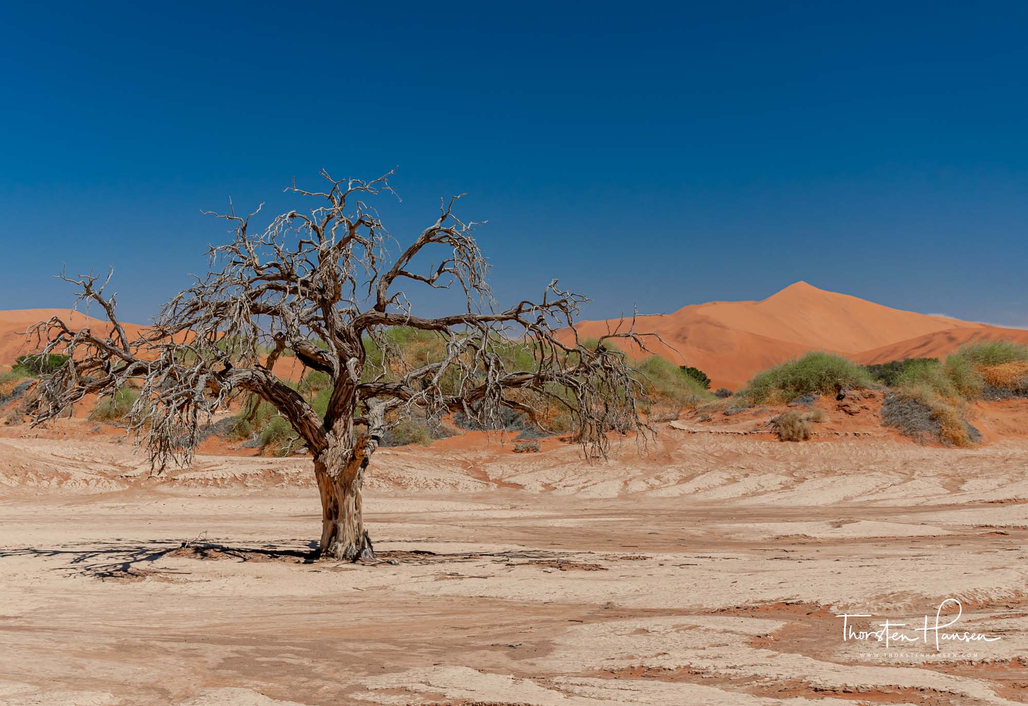 Erleben Sie mit dem Reiseleiter Thorsten Hansen die Region Hardap in ...