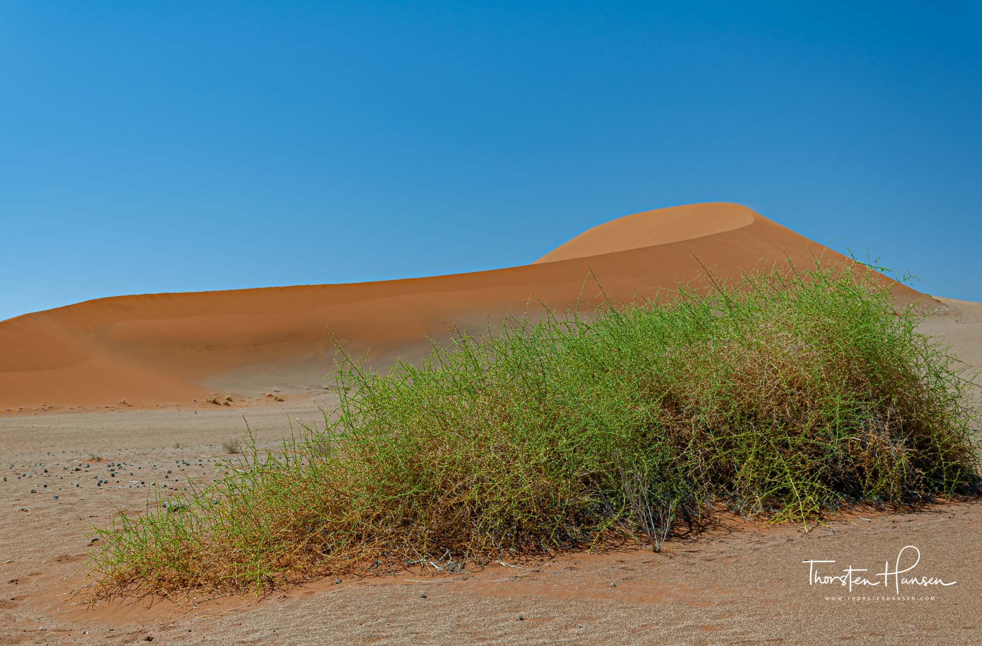 Erleben Sie mit dem Reiseleiter Thorsten Hansen die Region Hardap in ...