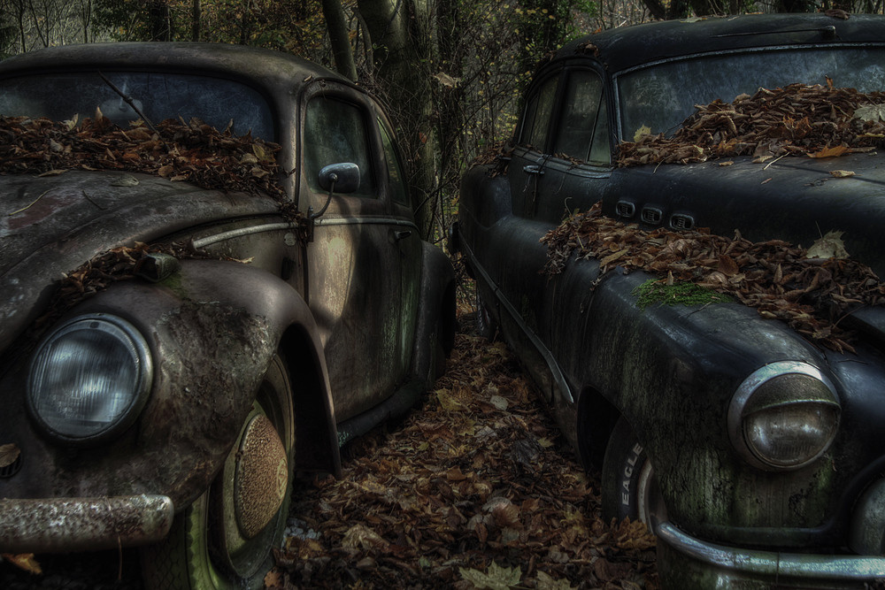 Autofriedhof im Neandertal - Nicole Staniewski wandelwelten-photografie