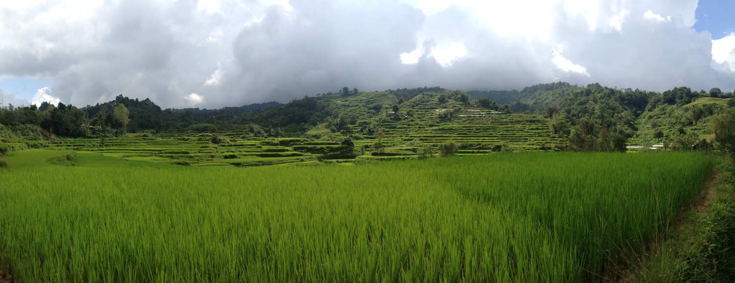 Surviving NATURE'S CHANGES - survivingnatureschanges