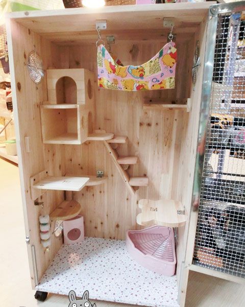 L'Habitat du chinchilla - Site de chincholla