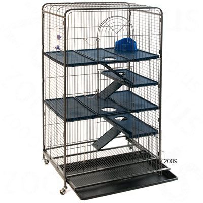 L'Habitat du chinchilla - Site de chincholla