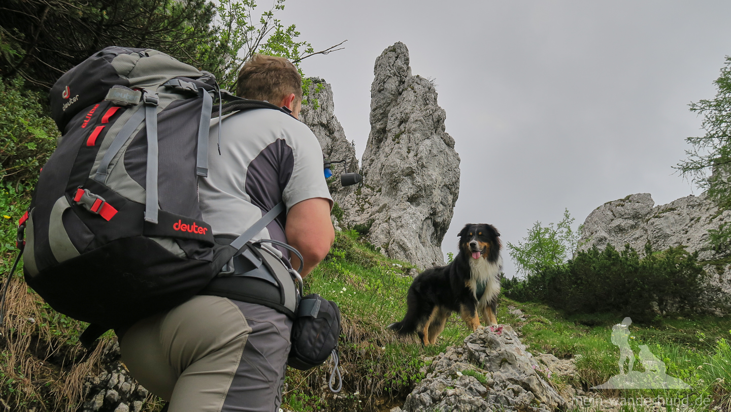 Bergwandern mit Hund - Tourenvorschläge - Wandern mit Hund