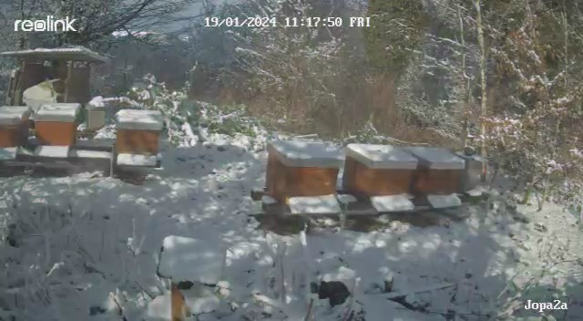 Bienen - 2023 - JOPANEWS