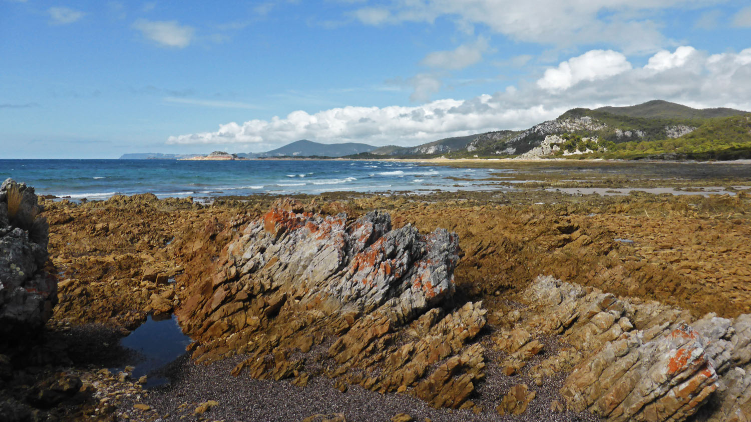 Rocky Cape National Park - The Journey and the Destination