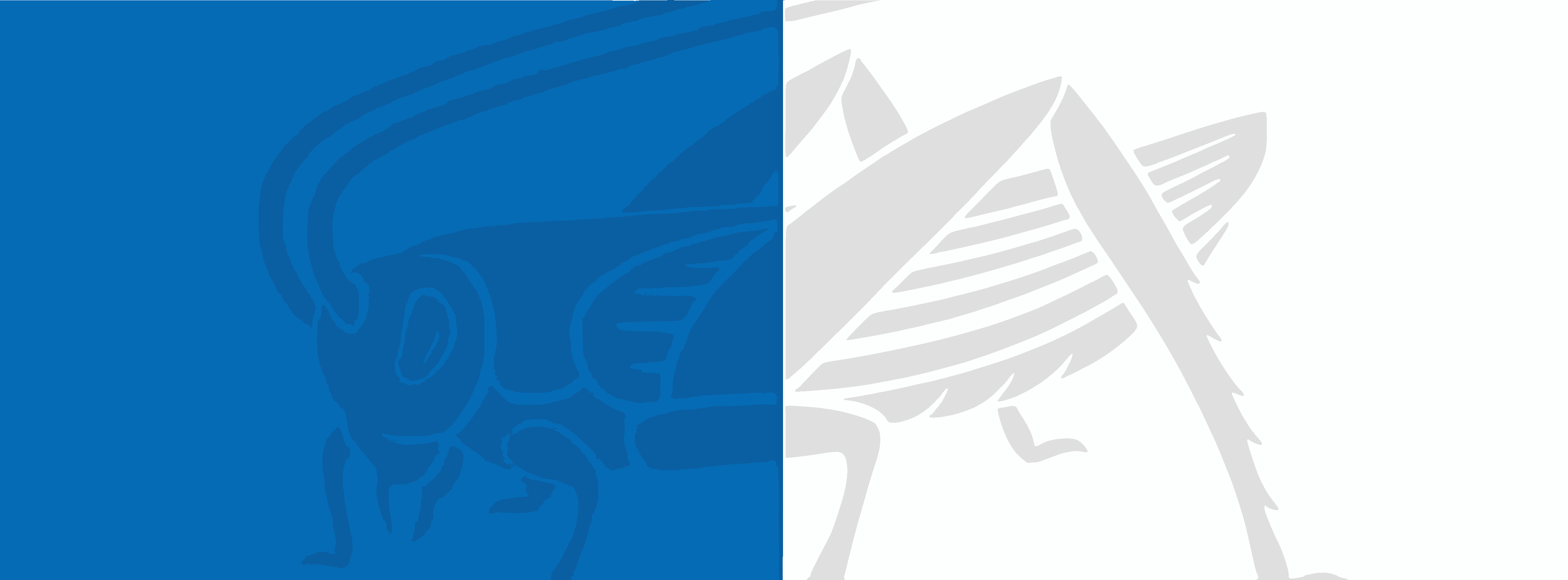 GCFO - GC Fanclub Ostschweiz