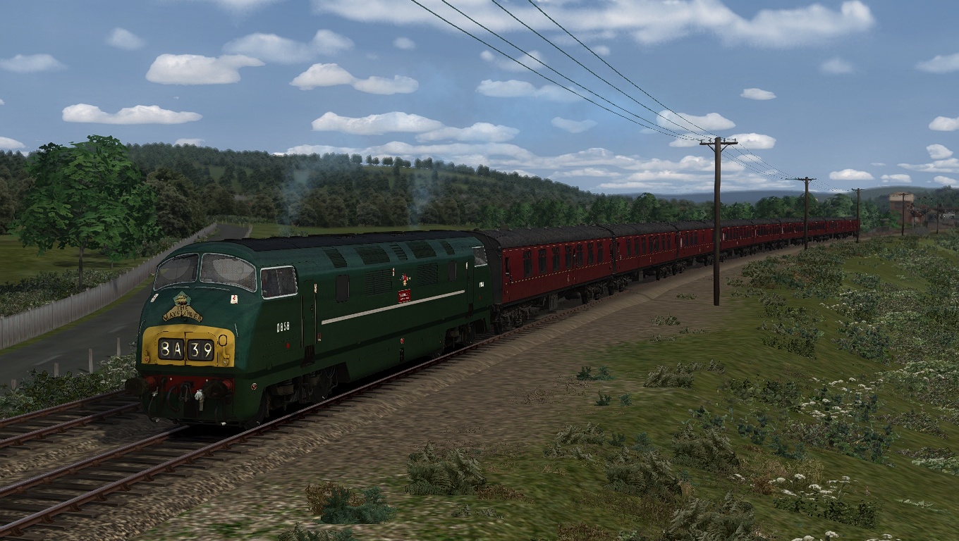 Diesel - peppercornworkshop