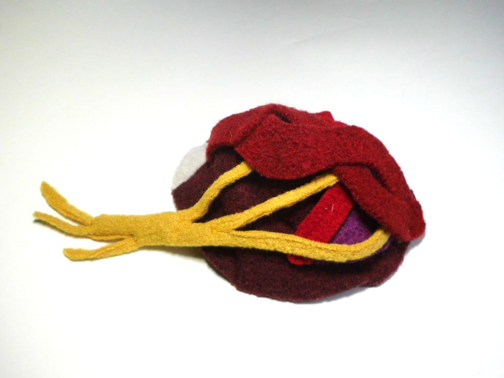 Shop | Beckenbodenmodell - 3-D Beckenboden/Körpermodell