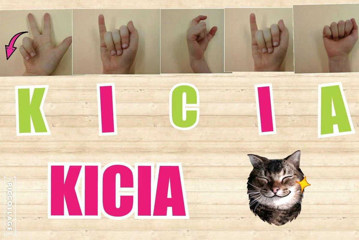 Poznajemy język migowy - Strona internetowa patyczakitableciaki!