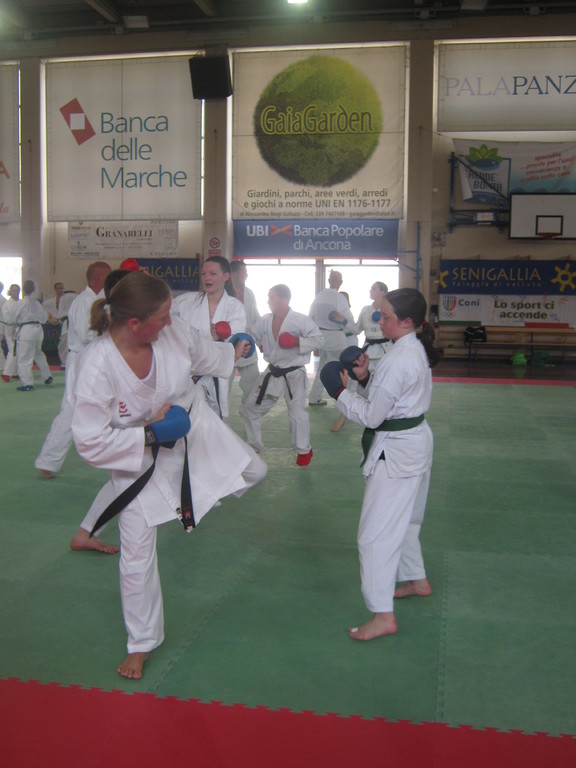 Christophe Pinna Course 2010 - Yoshitaka Karate