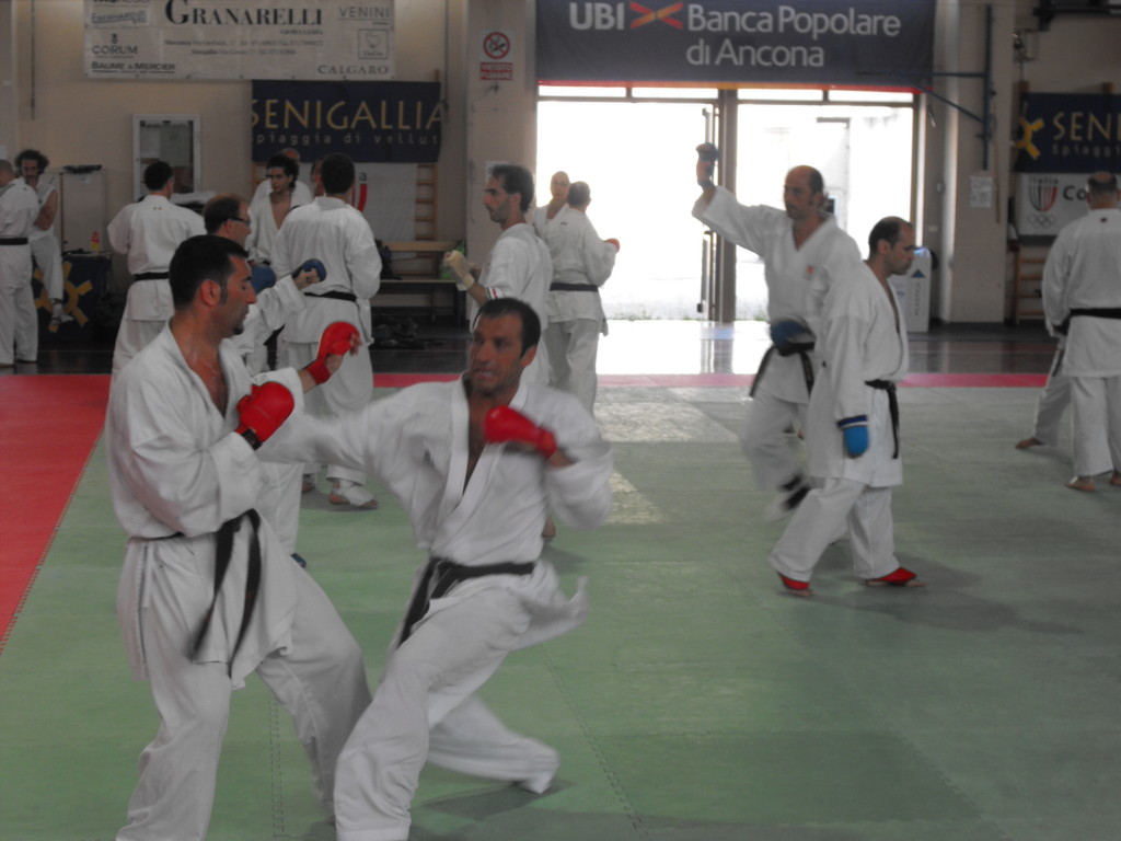 Christophe Pinna Course 2010 - Yoshitaka Karate