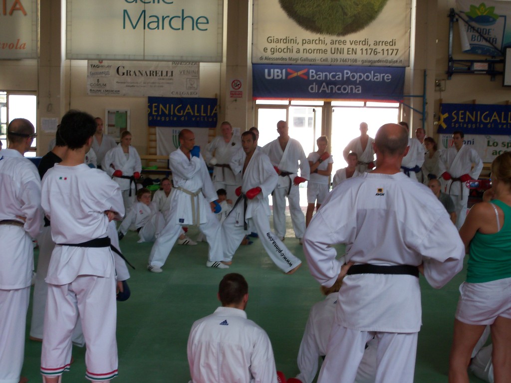 Christophe Pinna Course 2010 - Yoshitaka Karate