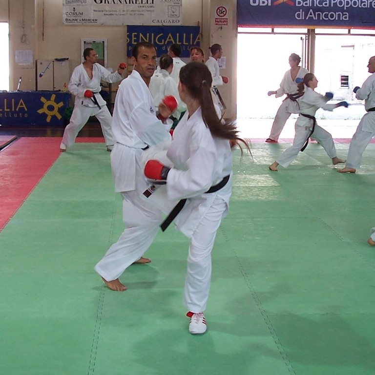 Christophe Pinna Course 2010 - Yoshitaka Karate