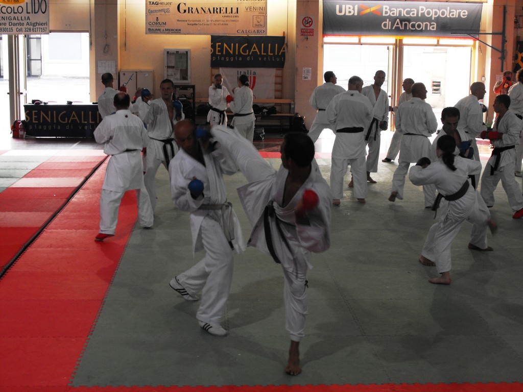 Christophe Pinna Course 2010 - Yoshitaka Karate