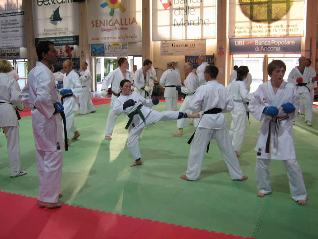 Christophe Pinna Course 2010 - Yoshitaka Karate