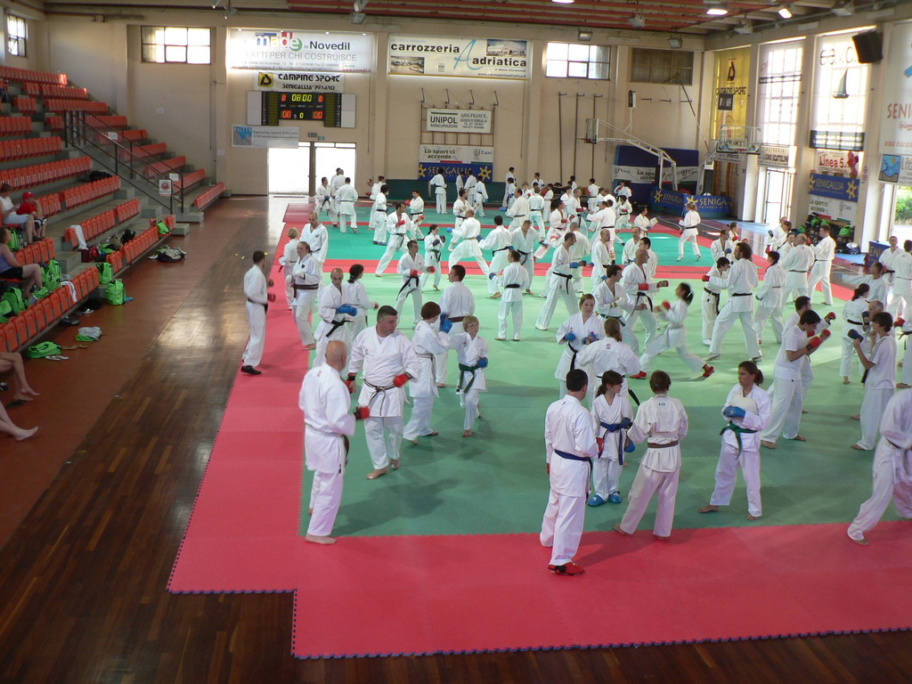 Christophe Pinna Course 2010 - Yoshitaka Karate