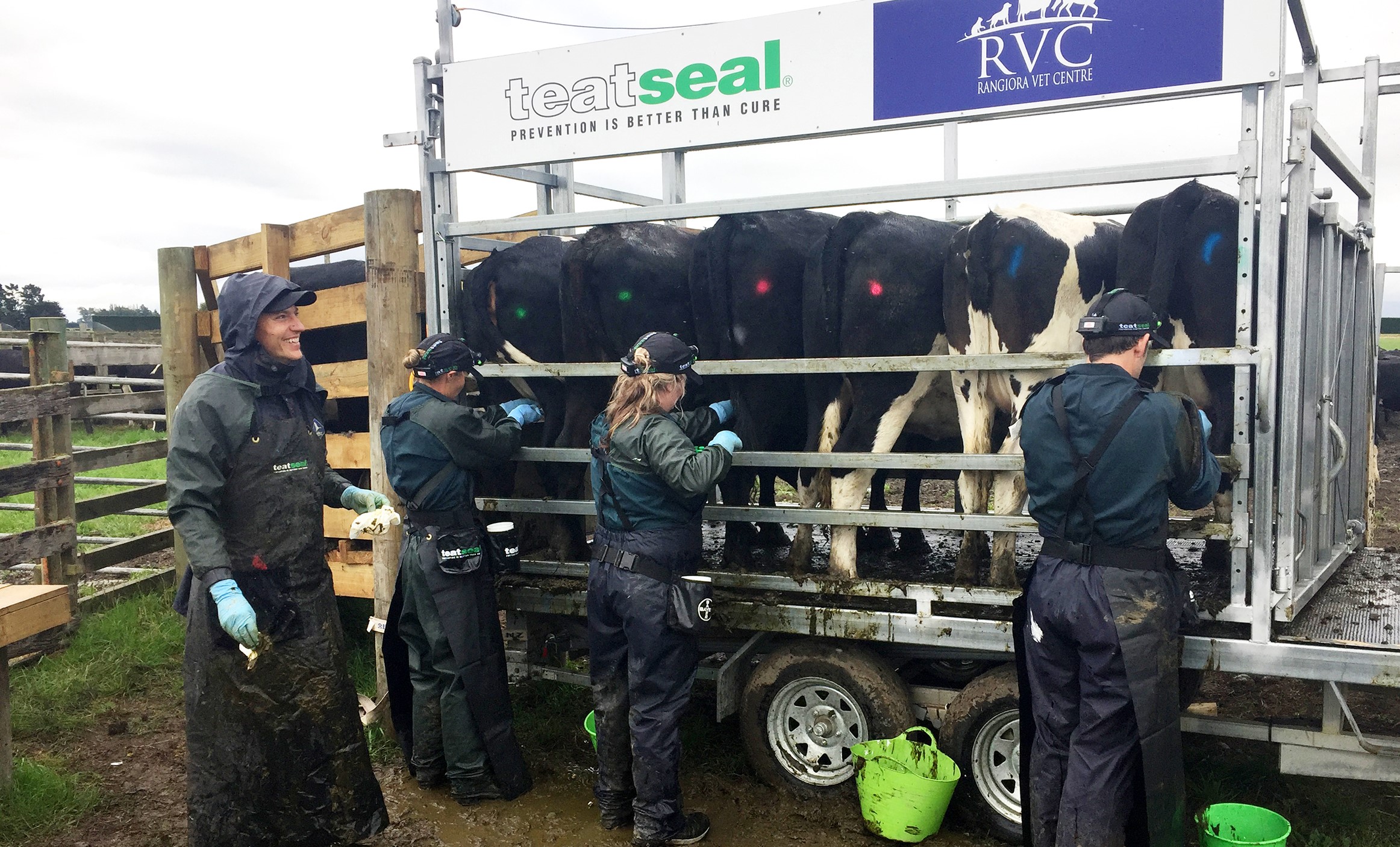 Rangiora Vet Centre - The Vet Company