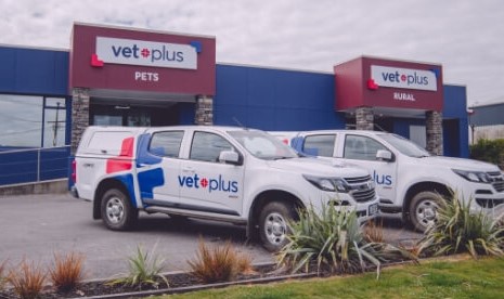 Home - The Vet Company