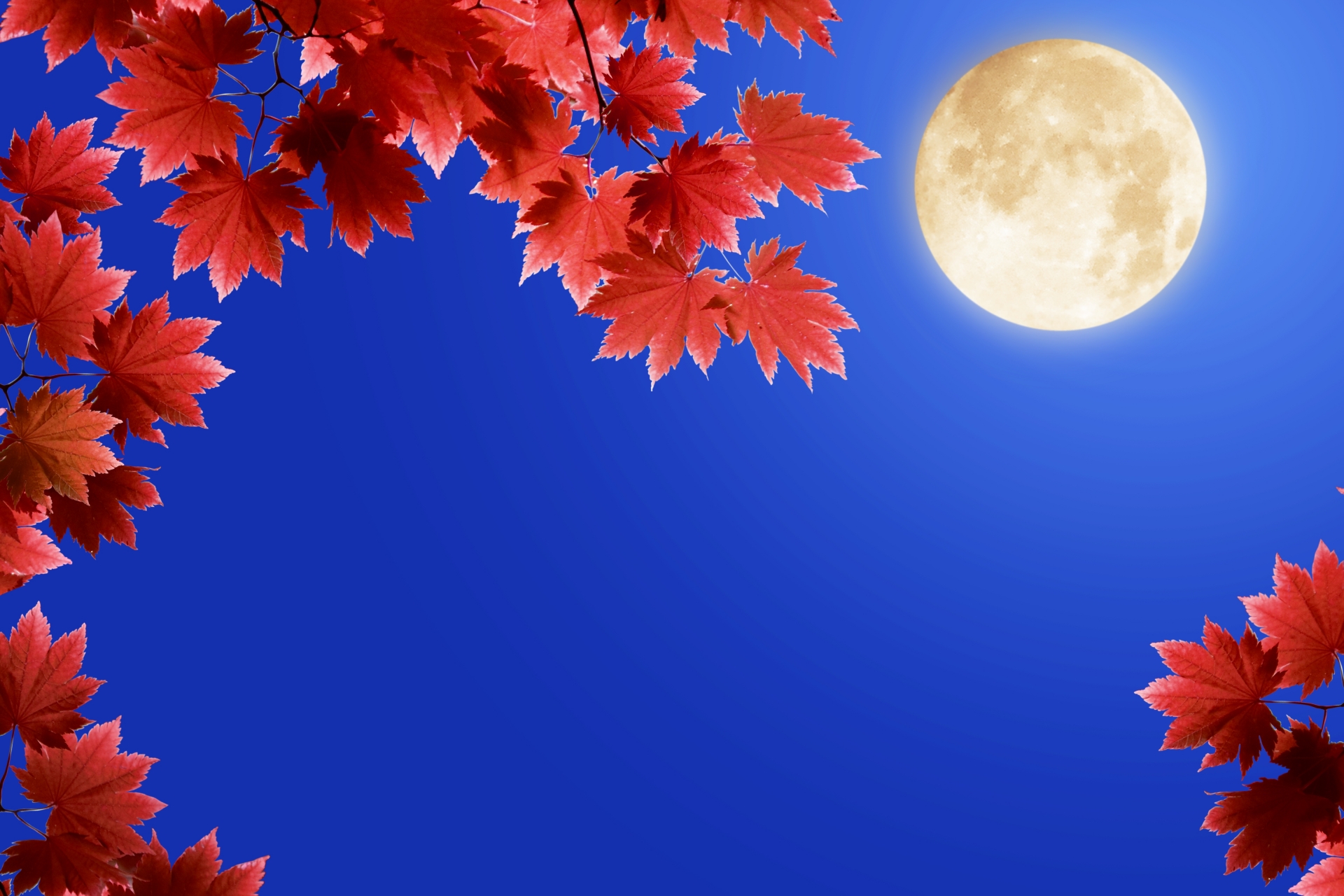 おや？ - gakushin-juku-okazaki