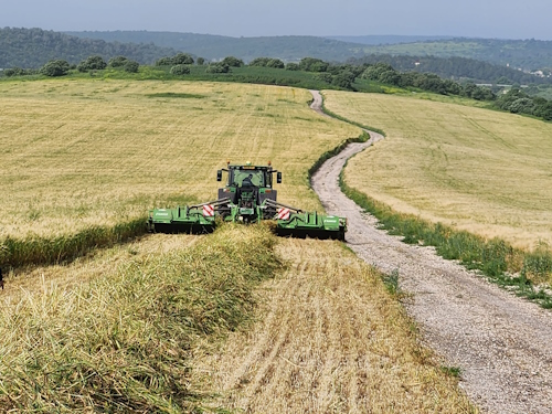 The Grain and Fruit Harvest Times in Israel - Structure Bible Menorah ...