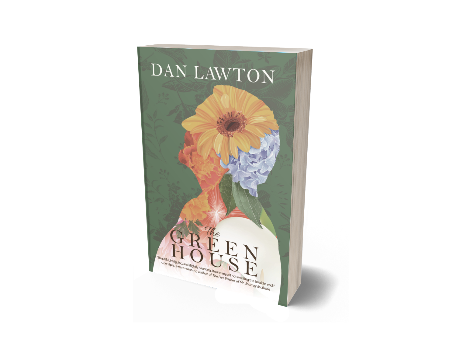 Home - Author Dan Lawton