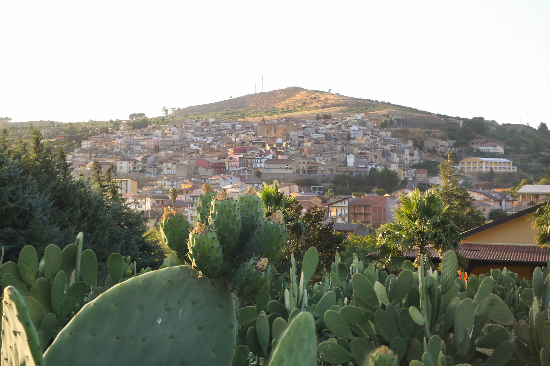 CONTATTI - PRO LOCO SAN CONO (CT)