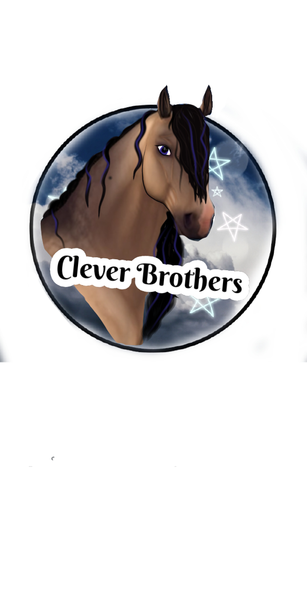 Die Reise zu den Clever Brothers - clever-brothers-clubs Webseite!