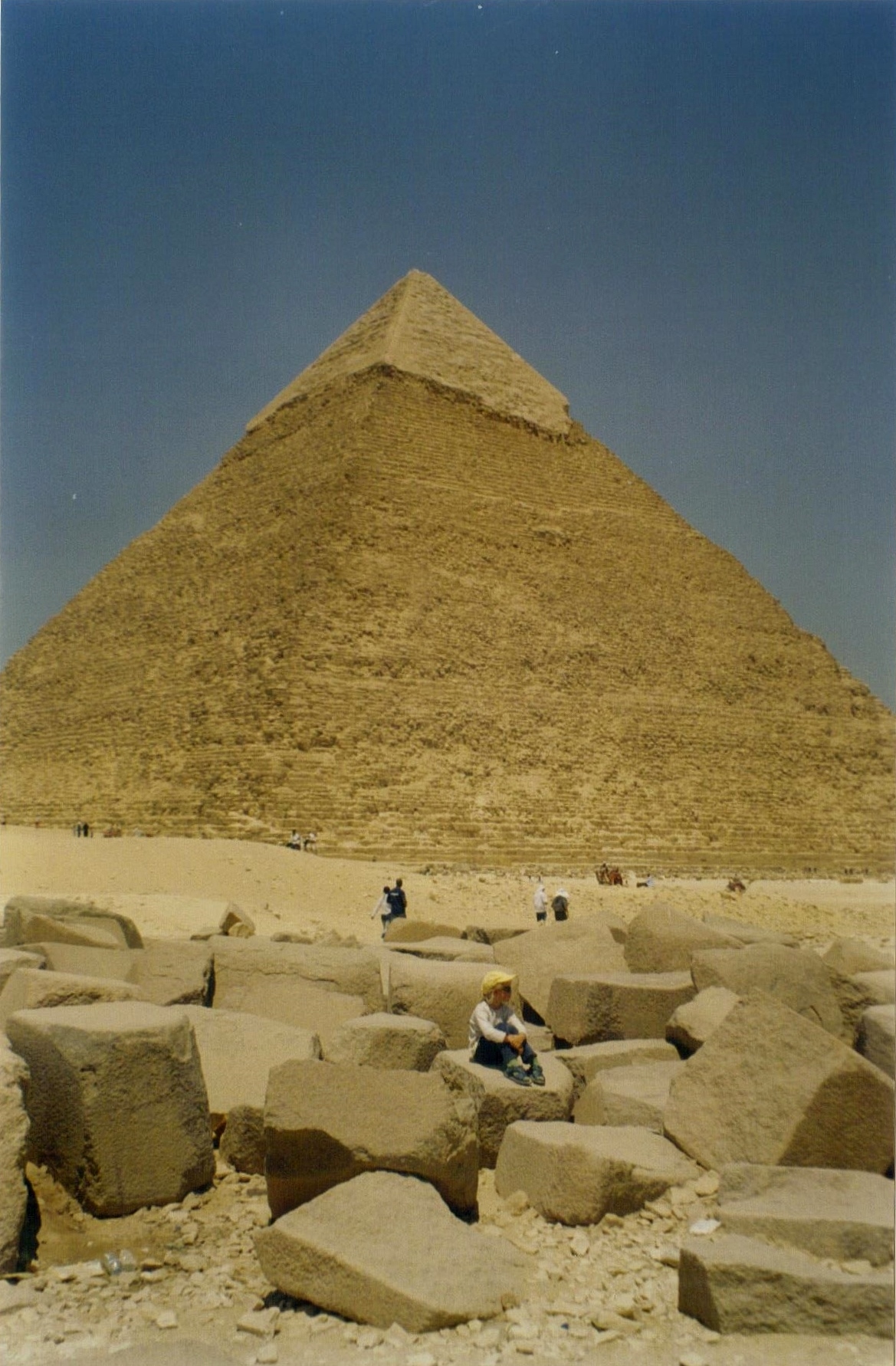 Arabian Studs in Germany - Welcome to arabian-studs.com!