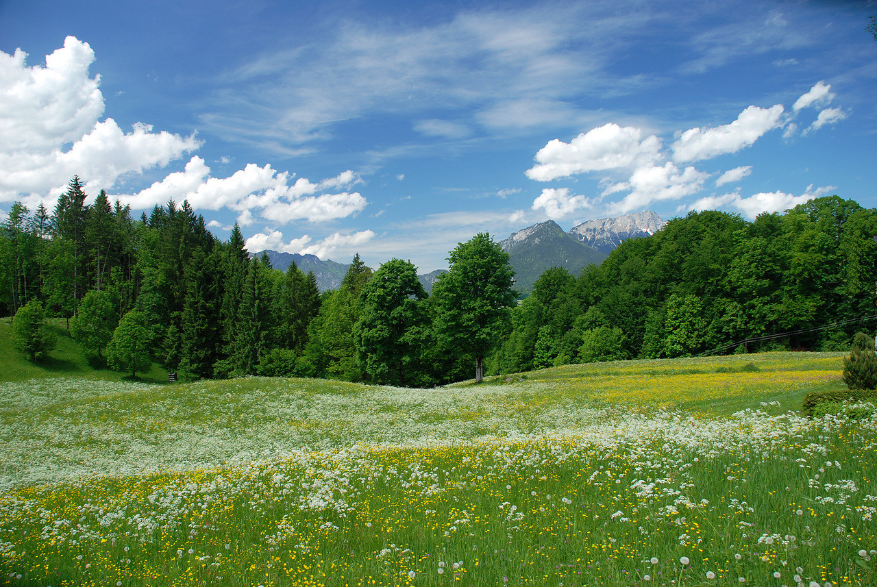 Produkttests - Pinpointer-detektorshop Metalldetektor kaufen ...