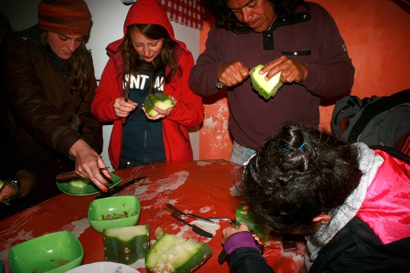 CACTUS HUACHUMA - Aventuras Tierras Mojadas
