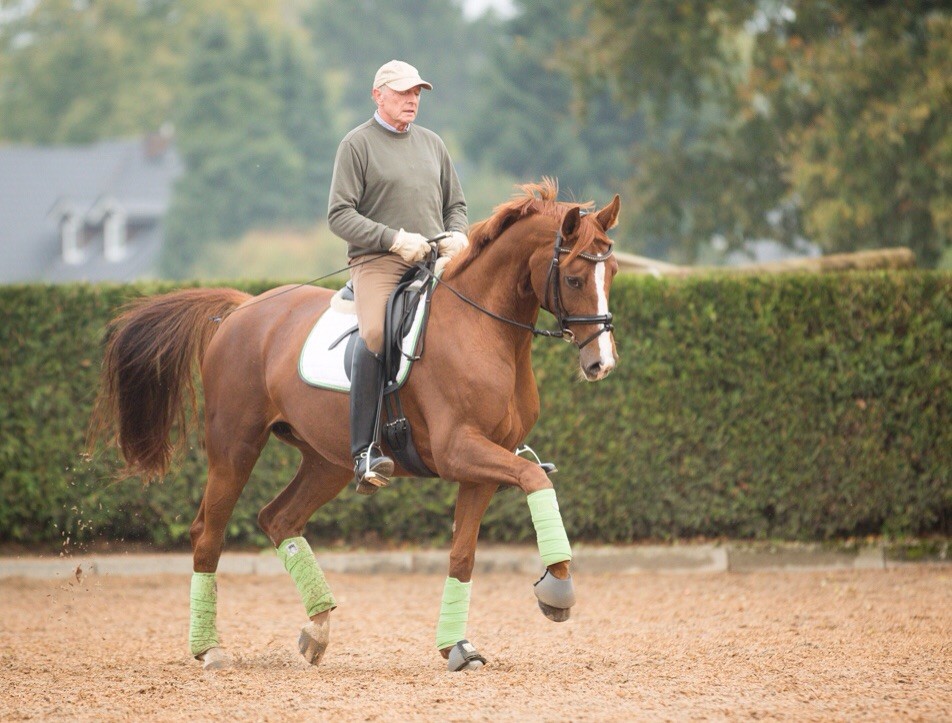 Alexander von Berenberg - reiterhof-ohlenhoff